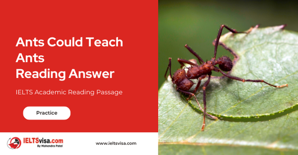 Ants Could Teach Ants Reading Answer - IELTSvisa.com: Free IELTS ...