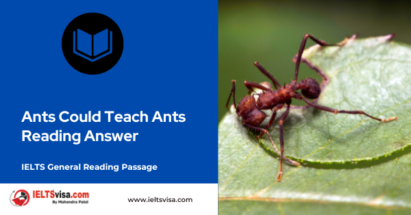 Ants Could Teach Ants Reading Answer - IELTSvisa.com: Free IELTS ...