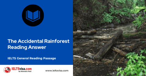 The Accidental Rainforest IELTS Reading Answers Explained