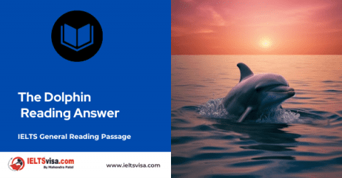 The Dolphin Reading Answer – IELTS Practice with Solutions