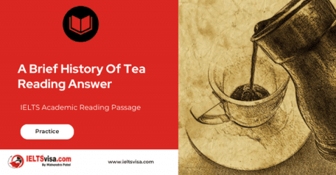 A Brief History of Tea – IELTS Reading Answers