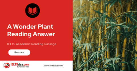 A Wonder Plant IELTS Reading Answer Explained