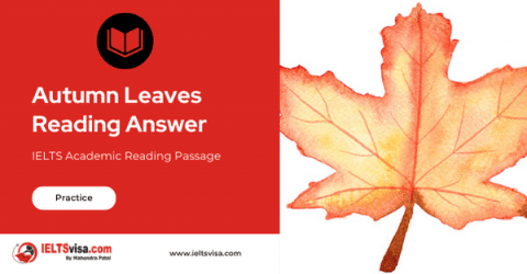 Autumn Leaves IELTS Reading Answers & Explanation