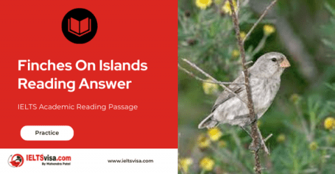 Finches On Islands – IELTS Reading Answers Explained