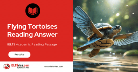 Flying Tortoises IELTS Reading Answers & Explanation