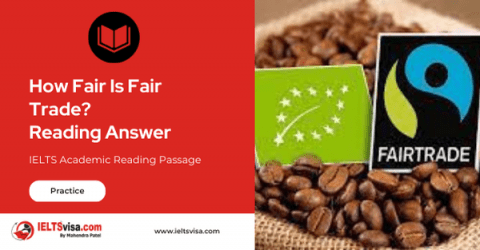 How Fair Is Fair Trade? IELTS Reading Answers