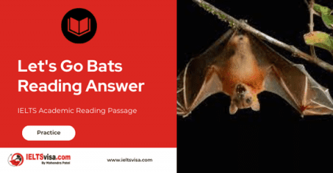 Bat Echolocation: How Bats Navigate in the Dark