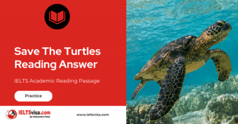Save The Turtles Reading Passage & Answers