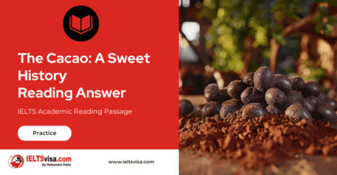 The Cacao: A Sweet History – IELTS Reading Answers