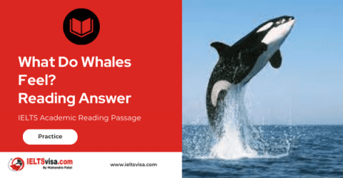 What Do Whales Feel? IELTS Reading Answers & Complete Explanation