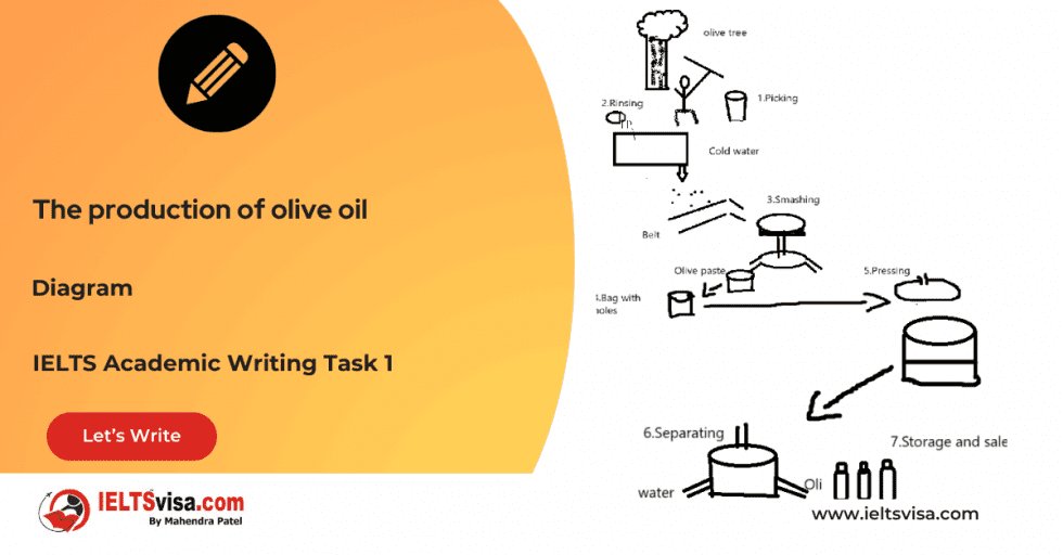 Task 1 - Diagram - The production of olive oil - IELTSvisa.com: Free ...