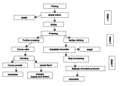 Task 1 - Diagram - The stages of processing cocoa beans - IELTSvisa.com: Free IELTS Resources ...