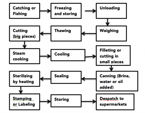 Task 1 - Diagram - The process of canning of fish. - IELTSvisa.com ...