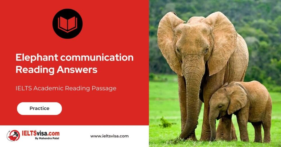 Elephant Communication Reading Answers